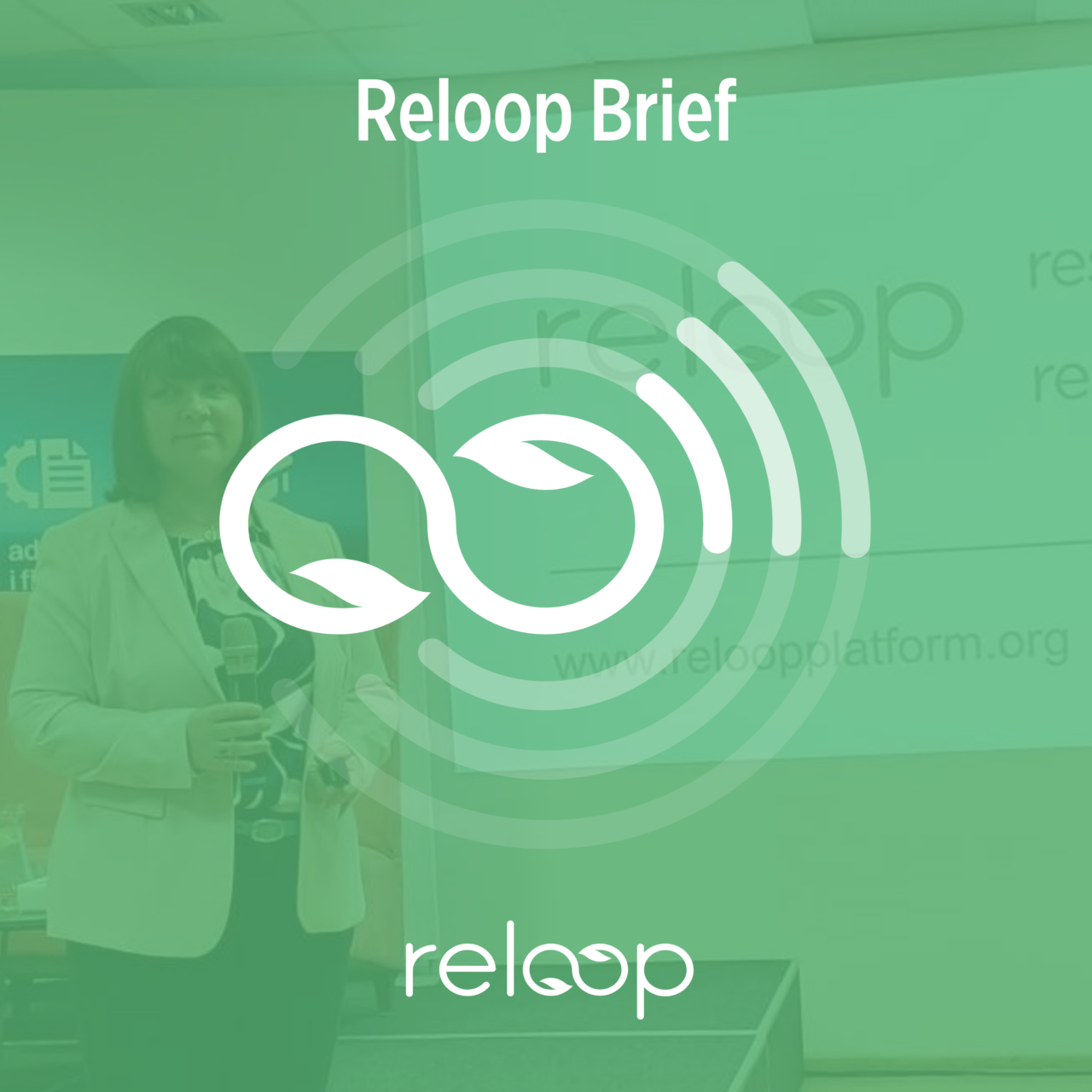 Una breve mirada a la Responsabilidad Extendida del Productor - Reloop ...